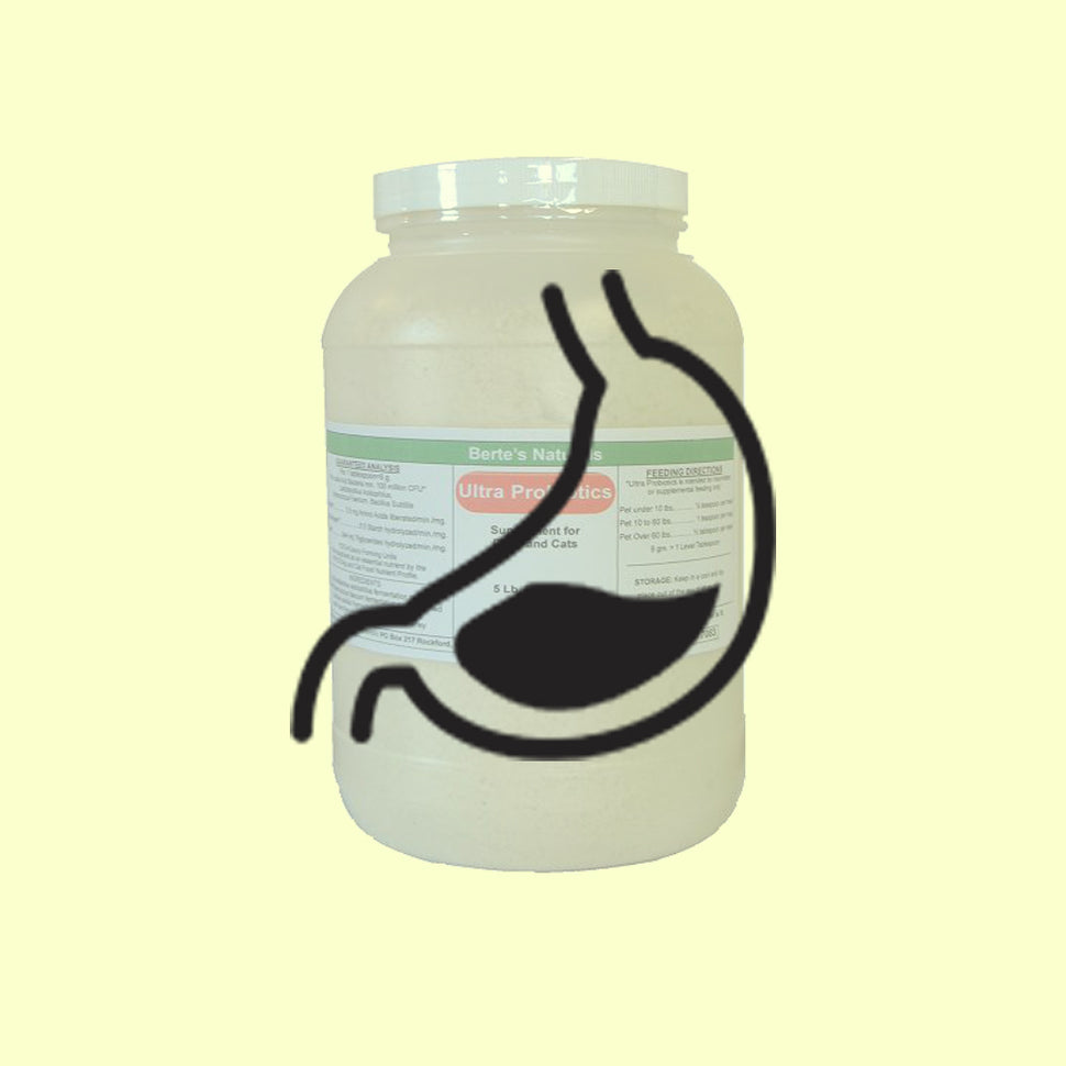 Digestion Aids – b-naturalsnutrition